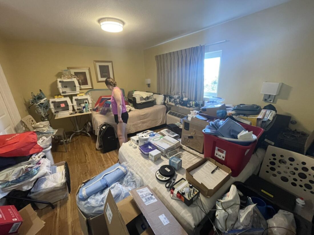 CROW moves into temporary clinic, admits first patient - SANIBEL ...